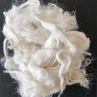 Quality Scoured wool for sale