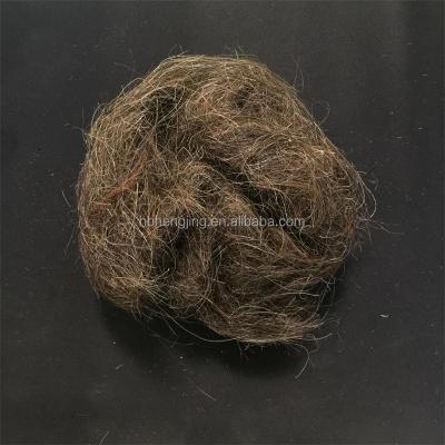 China Washed Good Quality Clean Horse Tail Mane Hair Waste for Mattress for sale