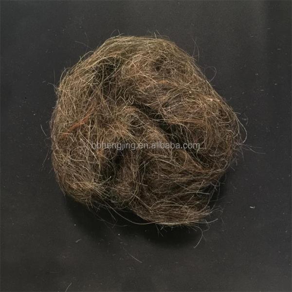 Quality Washed Good Quality Clean Horse Tail Mane Hair Waste for Mattress for sale