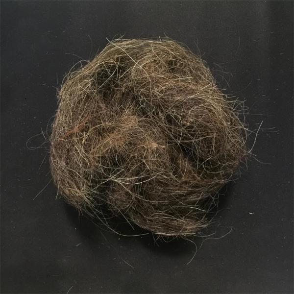 Quality Washed Good Quality Clean Curled Horse Hair Waste for Mattress for sale