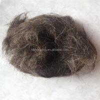 Quality Washed Good Quality Clean Horse Hair for Mattress or Rope for sale