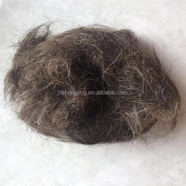 Quality Washed Good Quality Clean Horse Hair for Mattress or Rope for sale