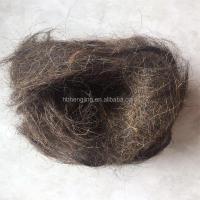 Quality Washed Horse Hair for Mattress for sale