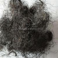 Quality Washed Good Quality Clean Curly Horse Hair for Mattress for sale
