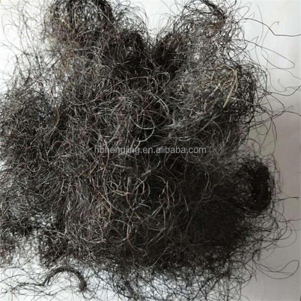 Quality Washed Good Quality Clean Curly Horse Hair for Mattress for sale