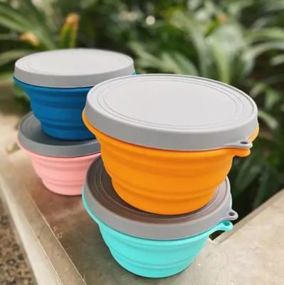 Cina Contenitore da pranzo in silicone pieghevole in vendita