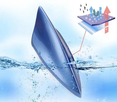 China New shark fin Antenna , waterproof car roof antenna,car antenna,FM antenna, car decoration antenna,auto car tv antenna for sale