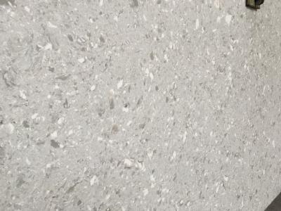 Cina Lastre enormi costruite resistenti della pietra del quarzo del graffio nessuna radiazione in vendita