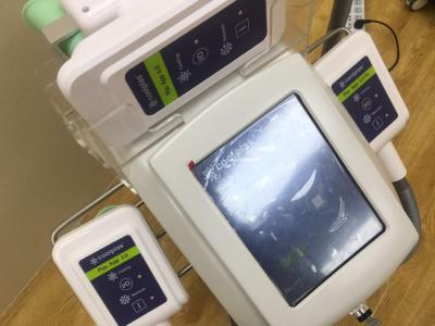 Cina Ente comodo di Cryo di perdita di peso che scolpisce macchina per il salone di bellezza in vendita