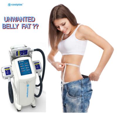Cina Perdita di peso/macchina professionale di Coolsculpting riduzione grassa in vendita