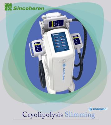 Cina Attrezzatura di congelazione grassa del laser di Sincoheren di perdita di peso della liposuzione per il trattamento delle celluliti in vendita