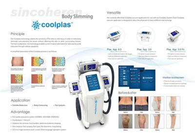 Cina Gelata grassa della gelata esile non dilagante di Coolplas che dimagrisce macchina con il touch screen in vendita