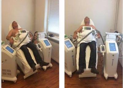 Cina Gelata grassa che dimagrisce macchina per la scultura/la perdita di peso del corpo in vendita