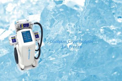 中国 Sincoheren Coolplas 3 Handpiecesの多機能の美機械脂肪質の凍結の細く機械 販売のため