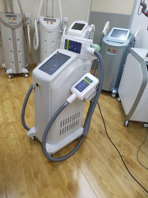 Cina Il CE ha approvato la macchina di congelamento grassa con manutenzione tutta la vita in vendita