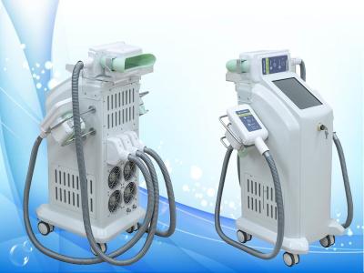 Cina Gelata grassa supersonica che dimagrisce macchina 230vac 50hz 1500w in vendita