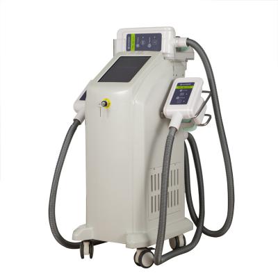 Cina Controllo della pressione di grasso verticale di vuoto di rimozione delle celluliti della macchina di congelamento in vendita