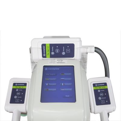 Cina Controllo della pressione di grasso verticale di vuoto di rimozione delle celluliti della macchina di congelamento in vendita