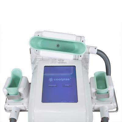 Cina Controllo della pressione di grasso verticale di vuoto di rimozione delle celluliti della macchina di congelamento in vendita