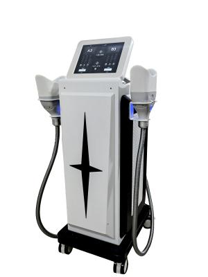 Cina Una rimozione Cryolipolysis di 360 di grado celluliti di crioterapia che dimagrisce il semiconduttore Cooling della macchina in vendita