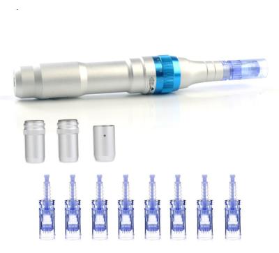 Cina Penna elettrica senza fili e metallica di A6 Microneedle Derma in vendita