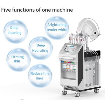 China Huid het Aanhalen Multifunctionele de Schoonheidsmachine van de Rimpelverwijdering 100v voor Salonmassage Te koop