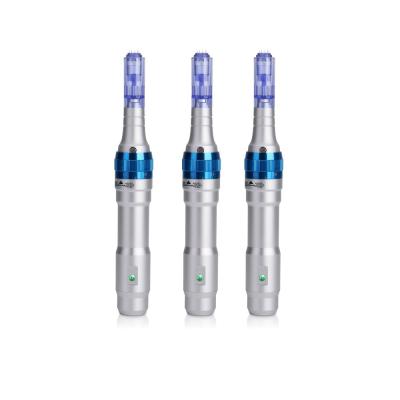 中国 12 Pin 36 PinナノのマイクロNeedlingのOEM ODM Microneedle Dermaのペン 販売のため