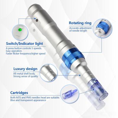 Китай Ручка ODM Microneedle Derma OEM с 12 Needling Pin Pin 36 Nano микро- продается