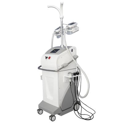 China De vette van de de Laser Multifunctionele Schoonheid van Verwijderingskryolipolyse Salon van de Machineliposuction Te koop