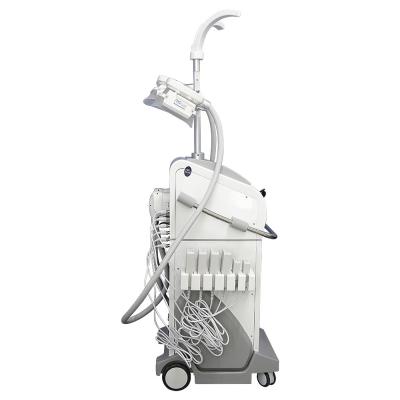 China De vette van de de Laser Multifunctionele Schoonheid van Verwijderingskryolipolyse Salon van de Machineliposuction Te koop