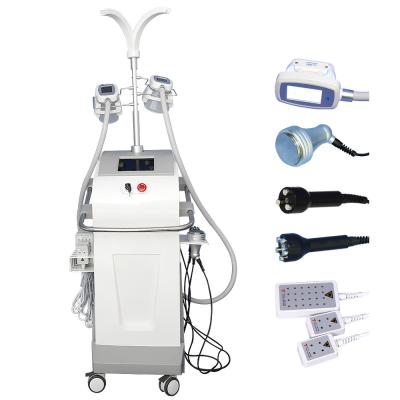 China De vette van de de Laser Multifunctionele Schoonheid van Verwijderingskryolipolyse Salon van de Machineliposuction Te koop