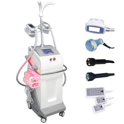 China De vette van de de Laser Multifunctionele Schoonheid van Verwijderingskryolipolyse Salon van de Machineliposuction Te koop