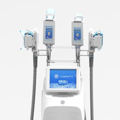Cina Salone di bellezza Mini Cryolipolysis Fat Freezing Machine in vendita