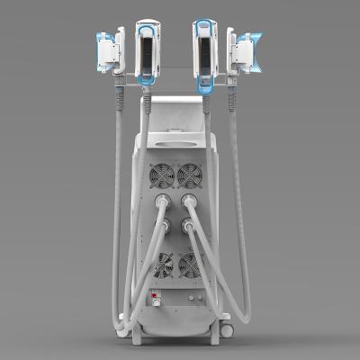 Cina Salone di bellezza Mini Cryolipolysis Fat Freezing Machine in vendita