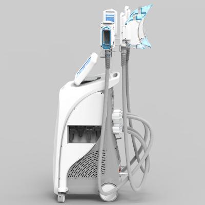 Cina Salone di bellezza Mini Cryolipolysis Fat Freezing Machine in vendita