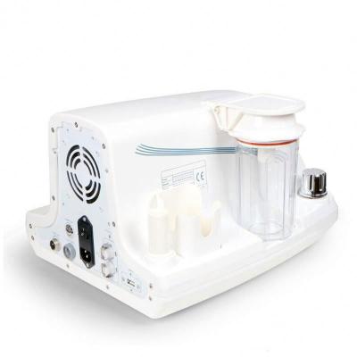 Cina Pulizia LCD della stazione termale di Mini Water Aqua Peel Facial Machine Dermabrasion in vendita