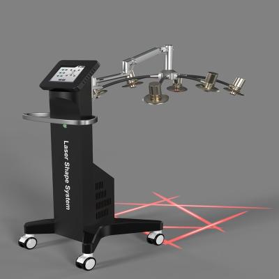 Cina ente grasso di perdita di rimozione delle celluliti del laser di 635nm Zerona 6 che dimagrisce la macchina di perdita di peso in vendita