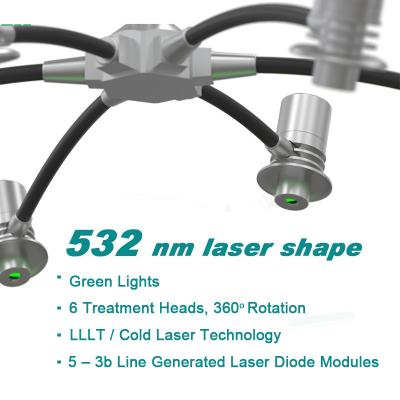 Cina L'ente freddo dell'attrezzatura 532nm del laser di verde del CE 6d modella il dimagramento non dilagante in vendita