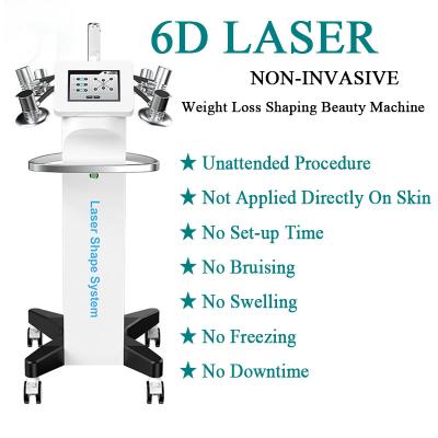 Cina L'ente freddo dell'attrezzatura 532nm del laser di verde del CE 6d modella il dimagramento non dilagante in vendita