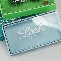 China Empty Transparent PVC Drawer Eyelash Box False Eyelash Packaging Box for sale