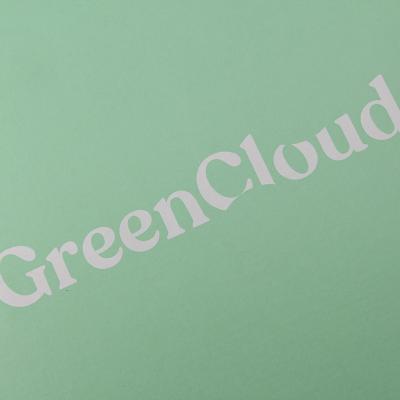 China Groene Golfdocument Elektronische handel Verpakkende Douane Postvakjes Te koop