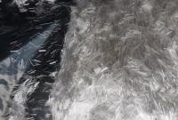 Quality High Silica Chopped Strand Glass Fiber With 9-11μM Filament Diameter 6-30mm for sale