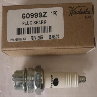 China Waukesha Sparking Plug 60999Z for sale