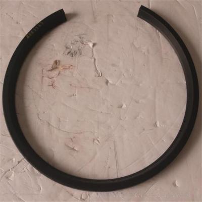 Cina Garlock Split Oil Seal 25003-5161 stainless steel oil seal excavator oil seal repair kits in vendita