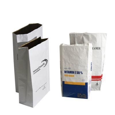 China Customized Industrial Paper Bags With Cmyk / Pantone Printing for sale