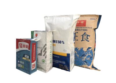 Cina fondo vuoto del blocchetto di Clay Gypsum Plaster Mortar Powder dei sacchi di carta della valvola di 25kg 50kg Kraft in vendita