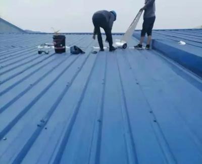 Cina Riparazione impermeabile regolare ENV del tetto di manutenzione 50mm del tetto di S355JR in vendita