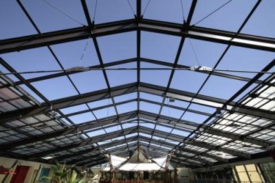 Cina Lanterne sul tetto per giardini botanici massimizzazione della luce naturale per la fiorente vita vegetale in vendita