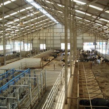 중국 빠른 설치가 가능한 맞춤형 강철 구조 닭장 판매용