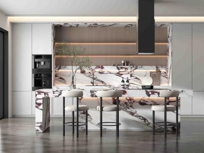 China Modern Kitchen Cabinet with Particle Board Soft Close Mechanism for sale